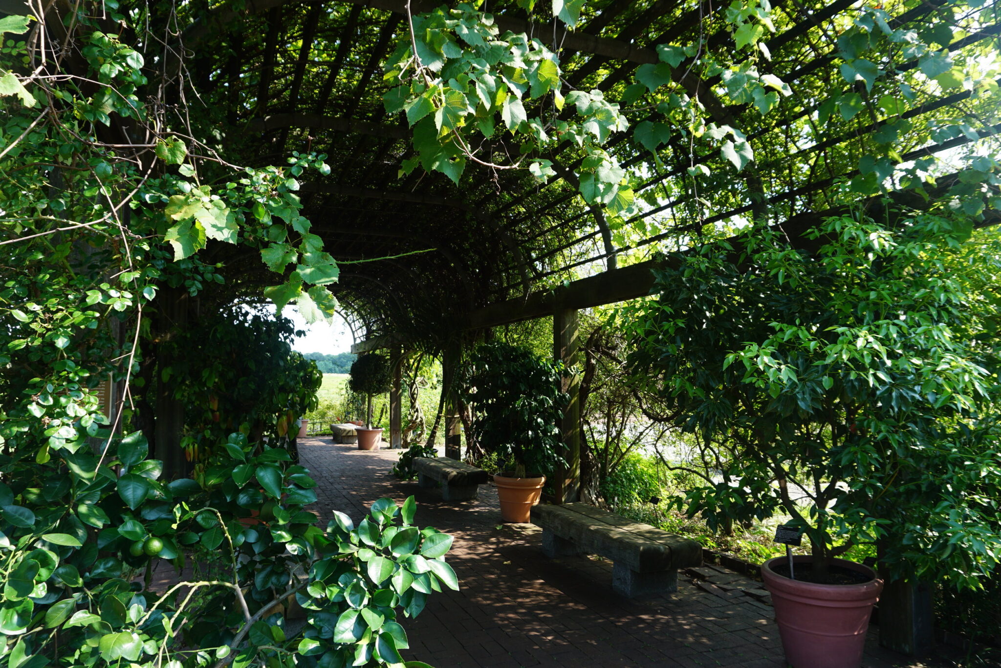 8 Ways to Escape to Nature in Washington, DC