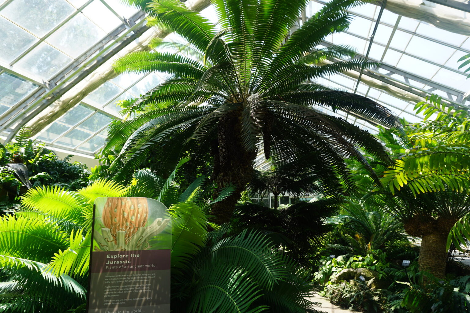 8 Ways to Escape to Nature in Washington, DC