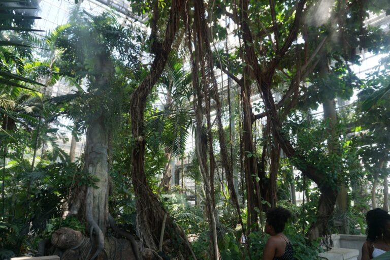 8 Ways to Escape to Nature in Washington, DC